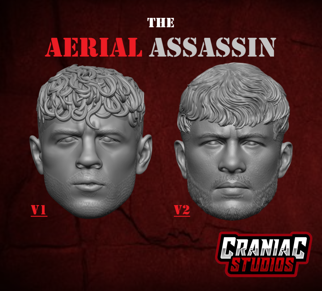 Aerial Assassin – Craniac Studios LLC