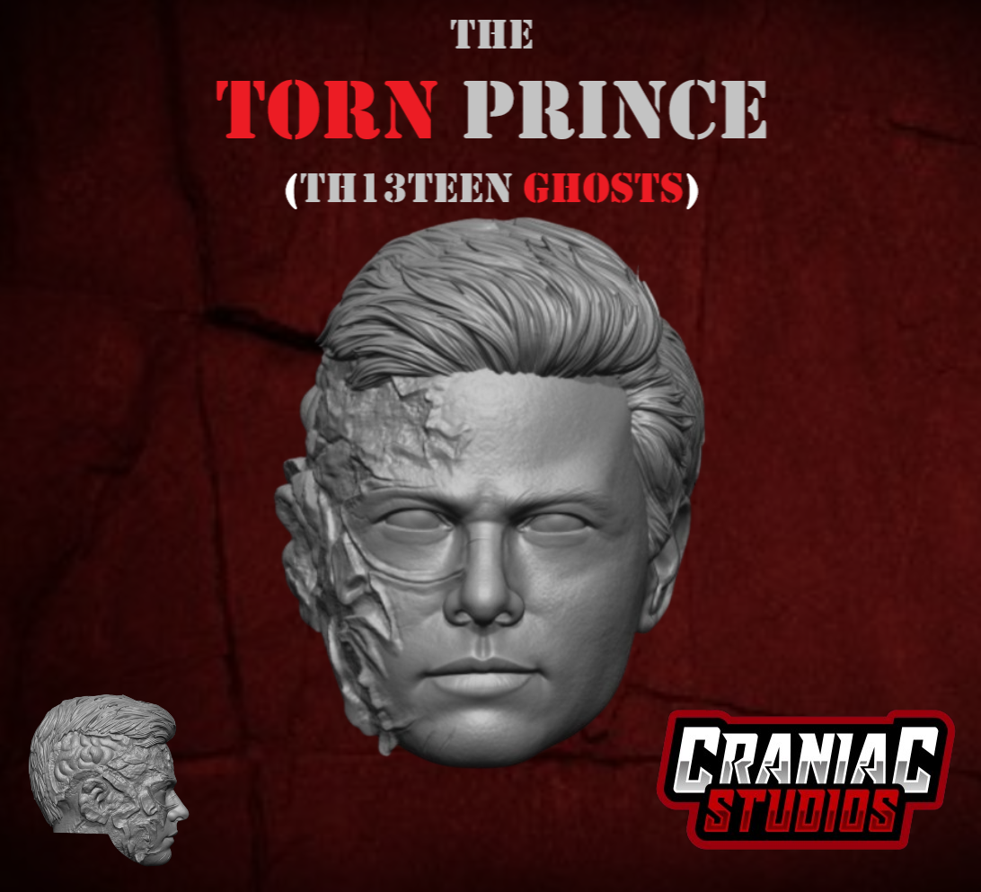 Torn Prince – Craniac Studios LLC